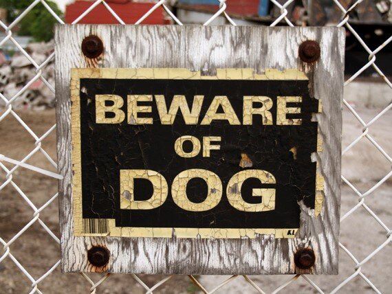 Dog Bite Safety - Paradowski Law